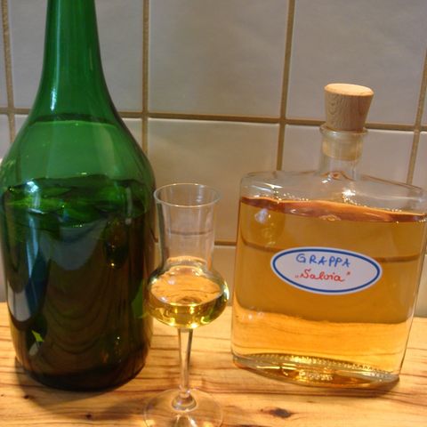 Grappa des Hauses *Salvia* Rezept - [ESSEN UND TRINKEN]