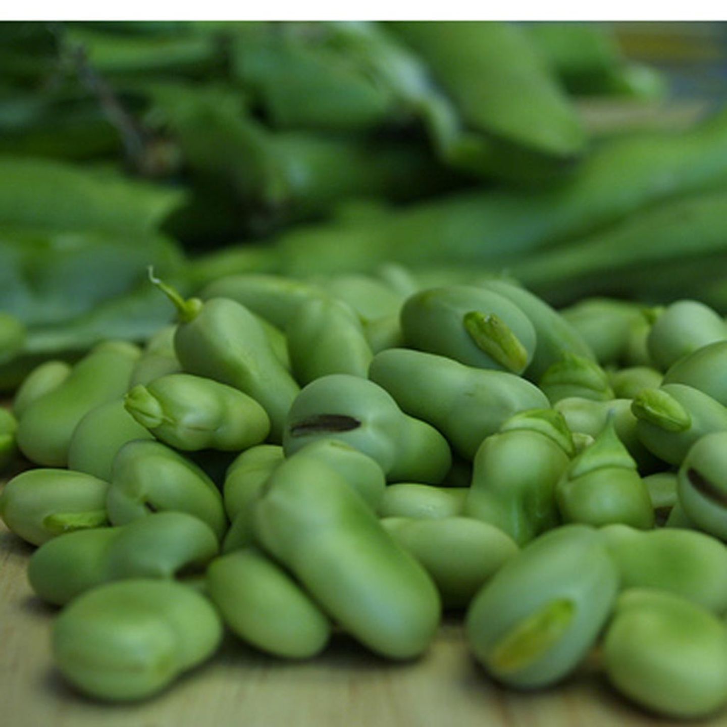 Bohnen: leckere Rezepte & tolle Tipps - [ESSEN UND TRINKEN]