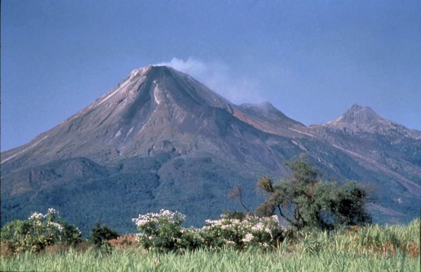 Der Vulcano de Colima - [ESSEN UND TRINKEN]