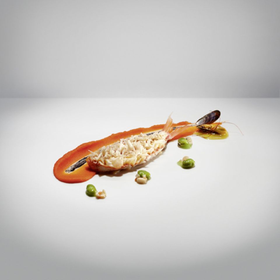 Rotbarbe bouillabaisse - [ESSEN UND TRINKEN]