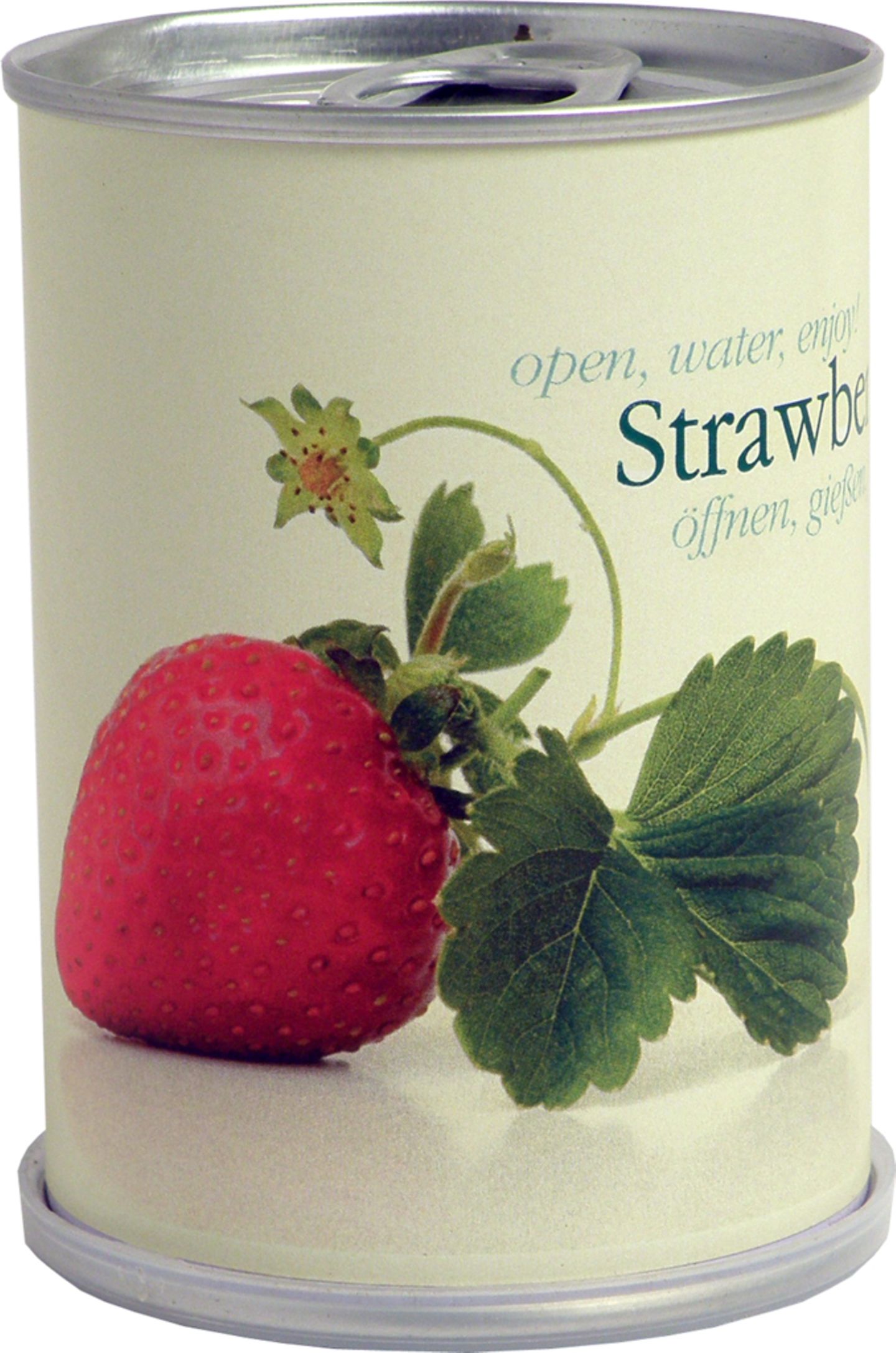 Erdbeeren aus der Dose - [ESSEN UND TRINKEN]