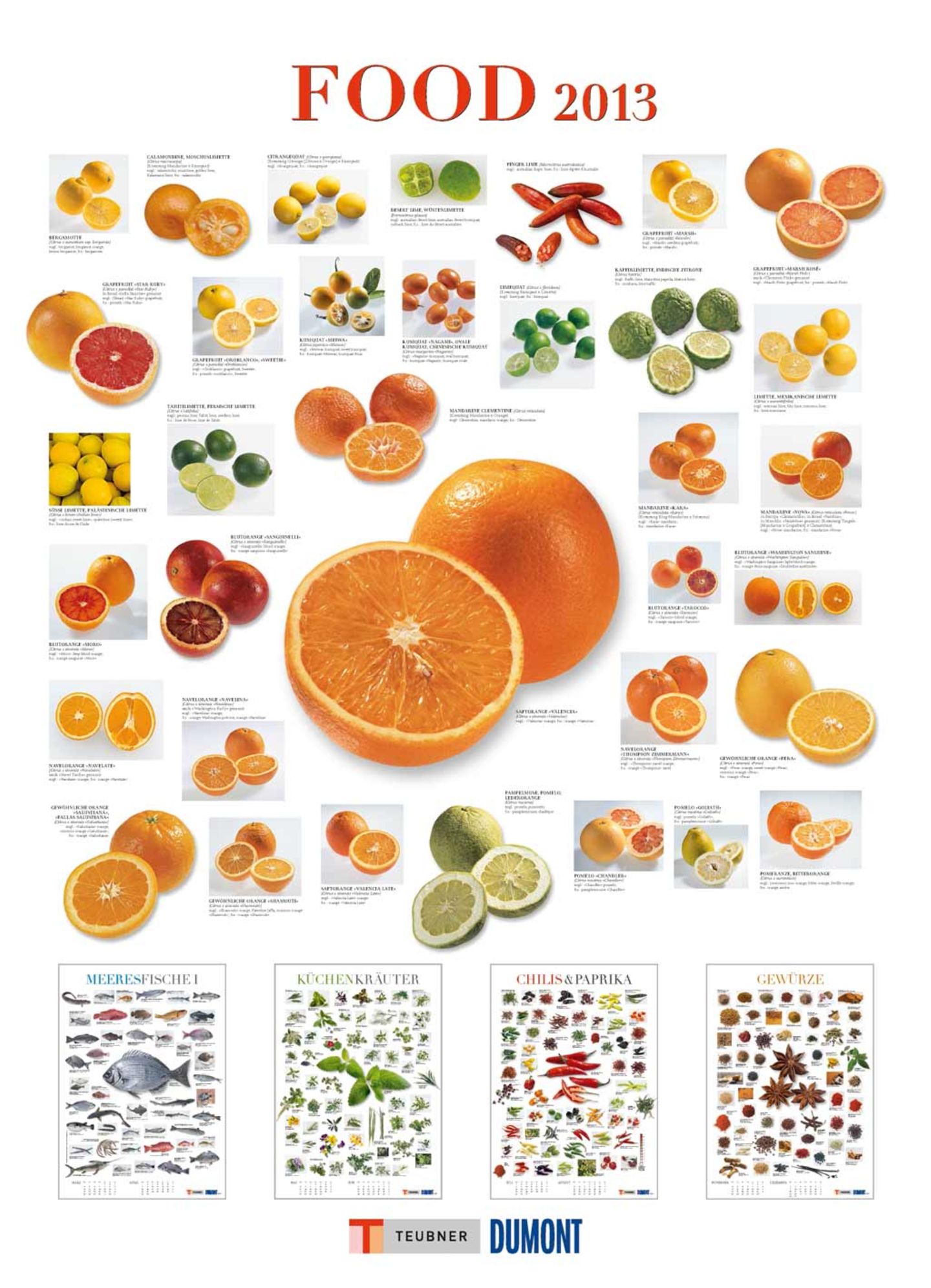 Food-Kalender in Posterformat - [ESSEN UND TRINKEN]