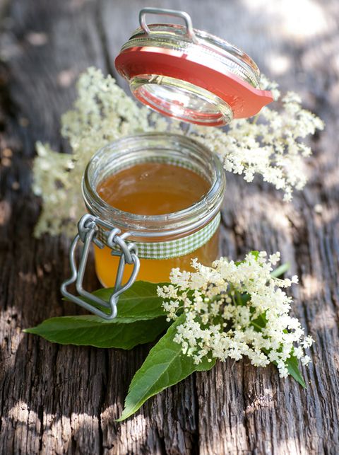Holunderblüten: Wissenswertes und Rezepte - [ESSEN UND TRINKEN]