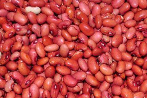 Kidneybohnen - [ESSEN UND TRINKEN]