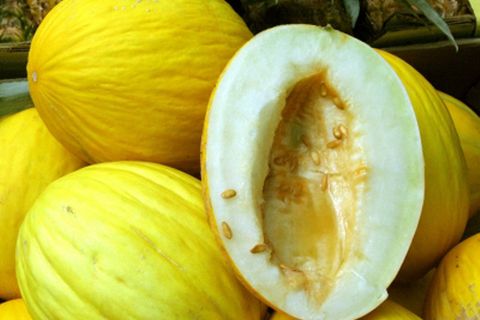 Honigmelone - [ESSEN UND TRINKEN]