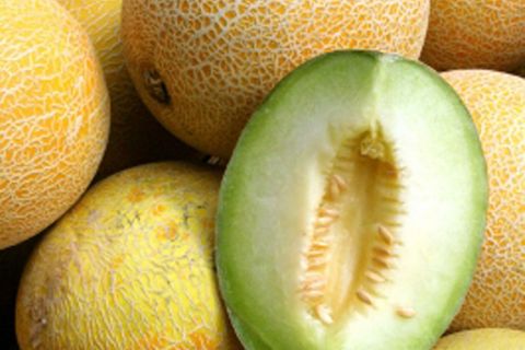 Netzmelone - [ESSEN UND TRINKEN]