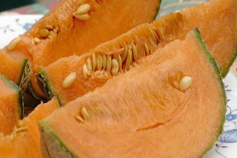 Netzmelone - [ESSEN UND TRINKEN]