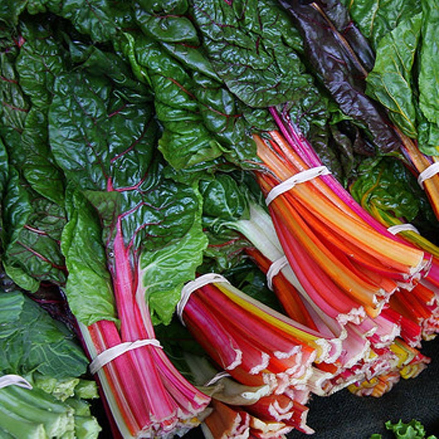 Mangold: die besten Rezepte - [ESSEN UND TRINKEN]