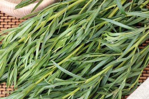 Estragon: starkes Aroma, tolle Rezepte - [ESSEN UND TRINKEN]