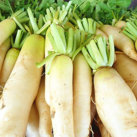 Rettich: Wissenswertes und Rezepte - [ESSEN UND TRINKEN]