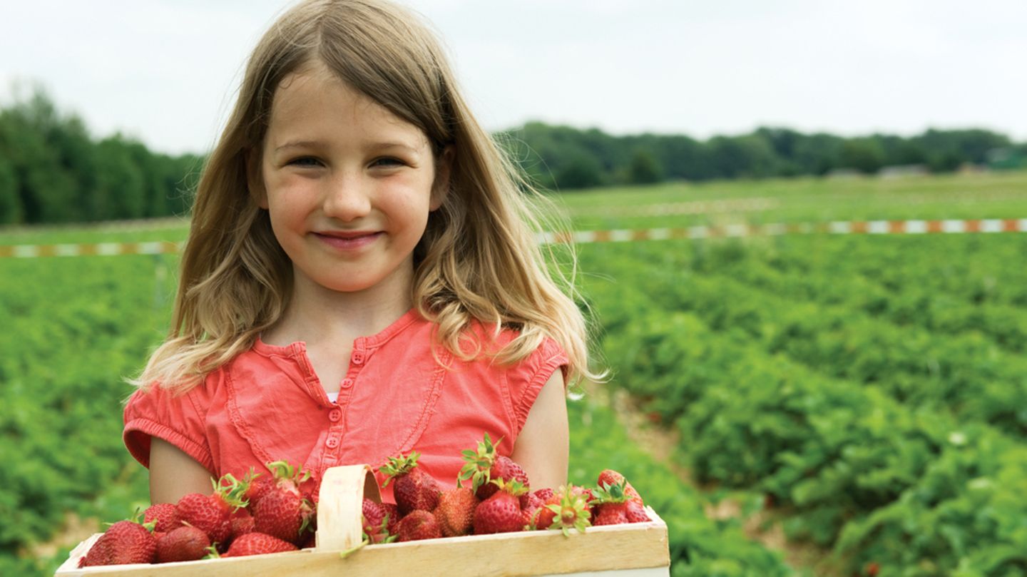 10 gute Gründe für Bio - [ESSEN UND TRINKEN]