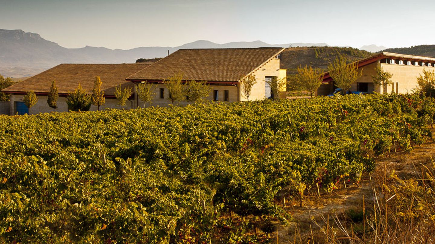 Valenciso Reserva 2005 - [ESSEN UND TRINKEN]