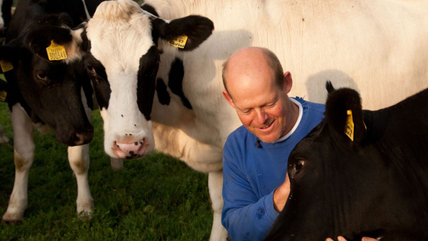 The Moo Man - [ESSEN UND TRINKEN]