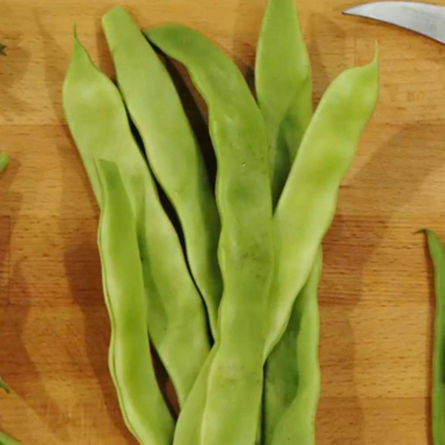 Bohnen: leckere Rezepte & tolle Tipps - [ESSEN UND TRINKEN]