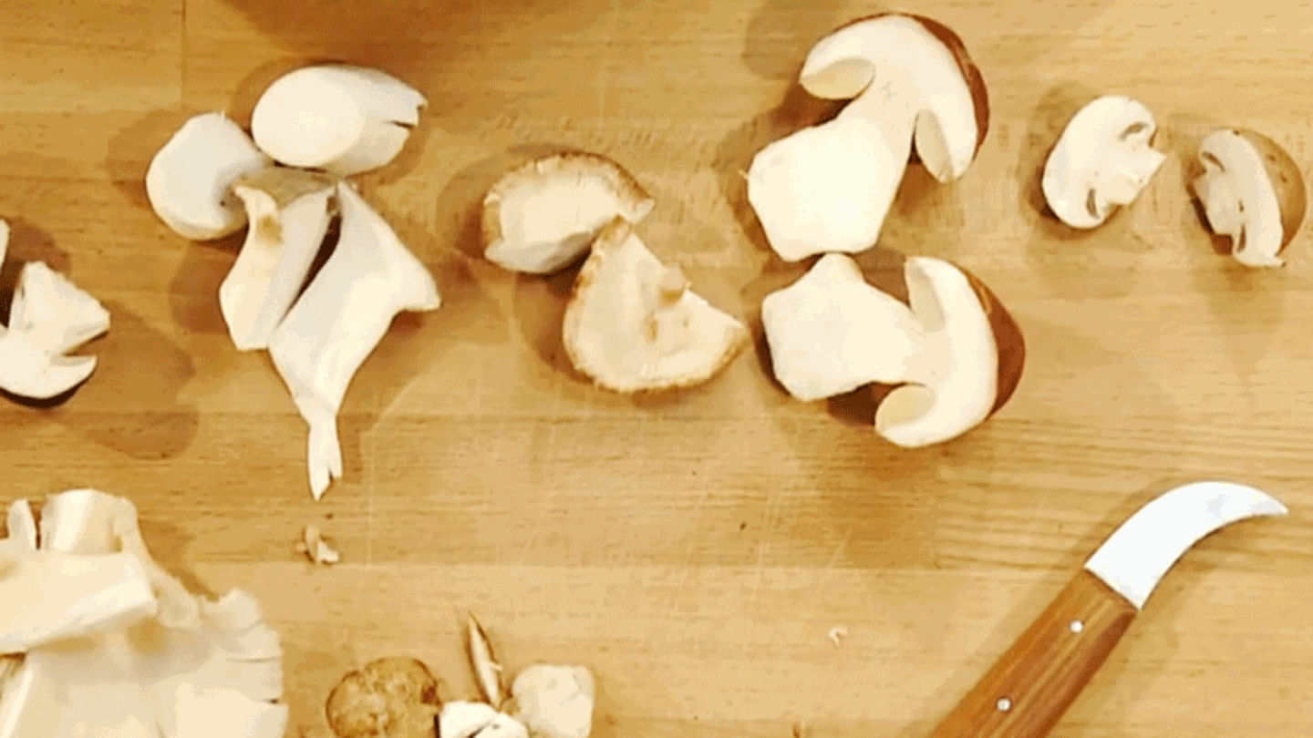 Pilze - [ESSEN UND TRINKEN]