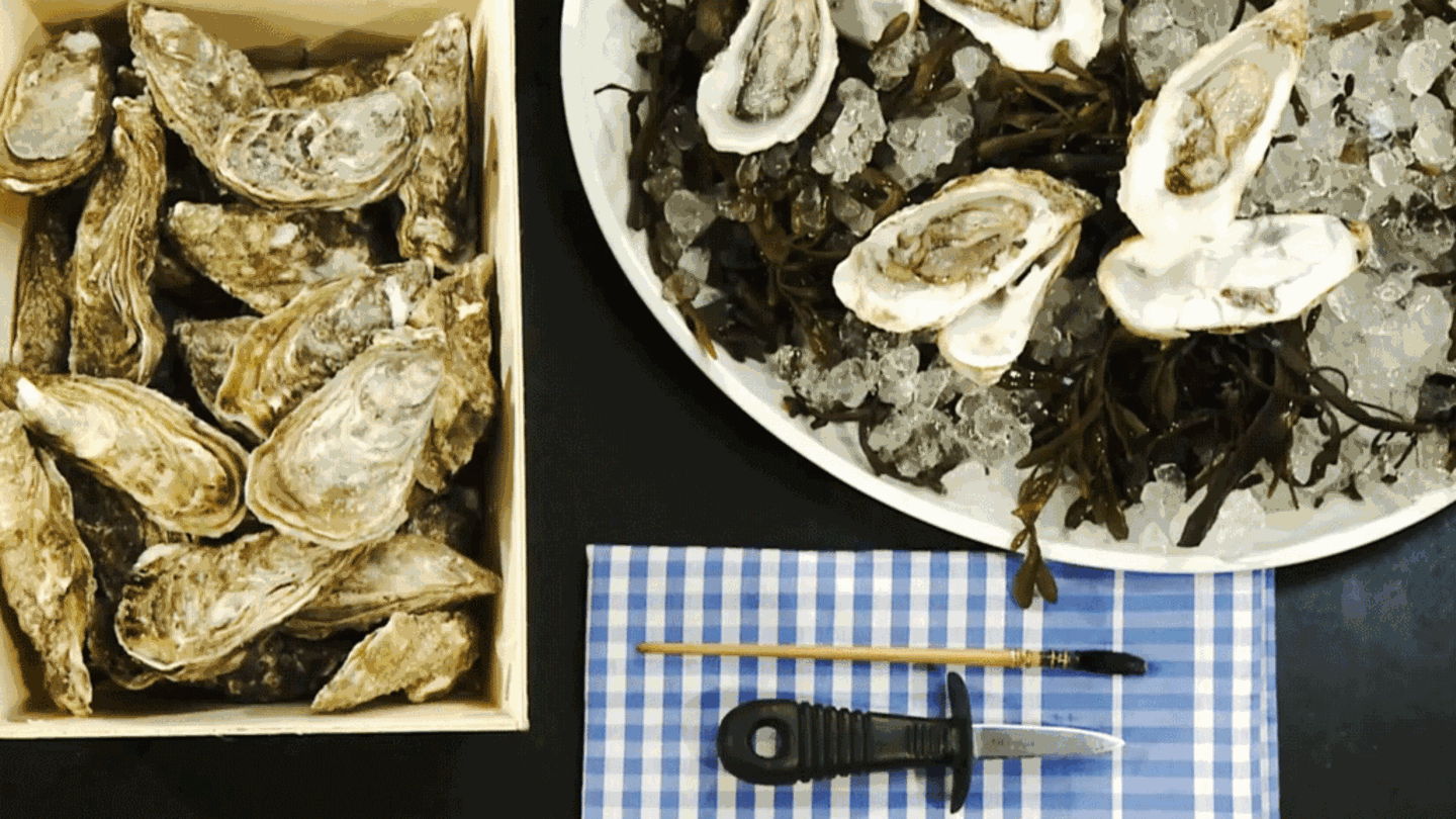 Zubereitung von Austern - [ESSEN UND TRINKEN]