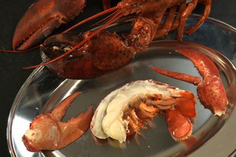 Hummer: Rezepte & Zubereitung - [ESSEN UND TRINKEN]
