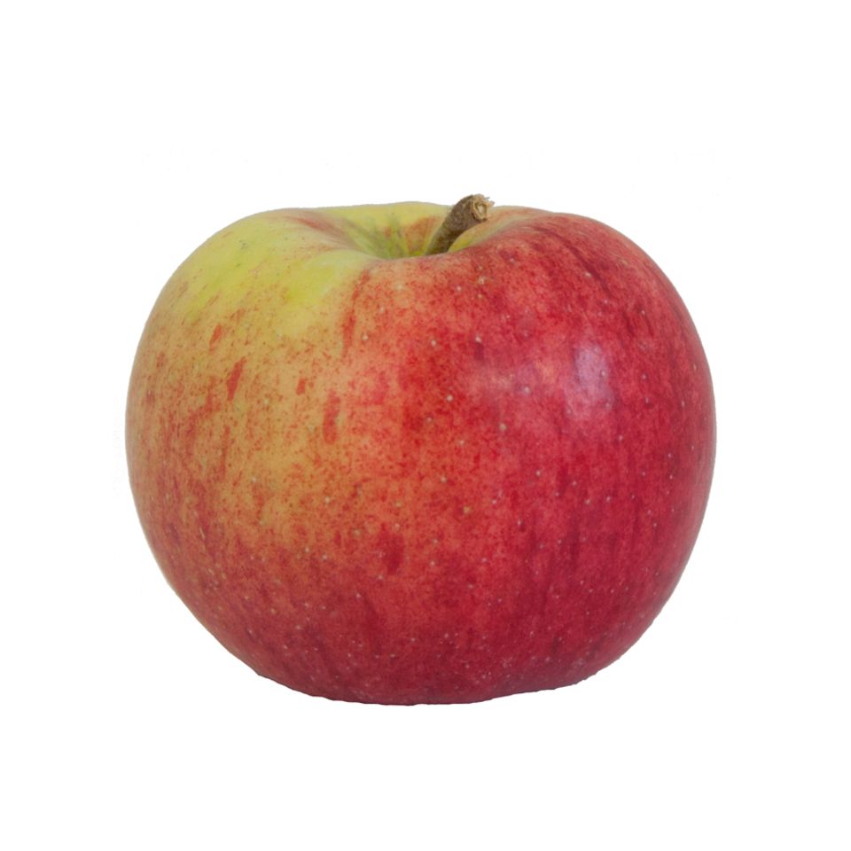 Kleines Apfel-ABC: 10 Apfelsorten - [ESSEN UND TRINKEN]