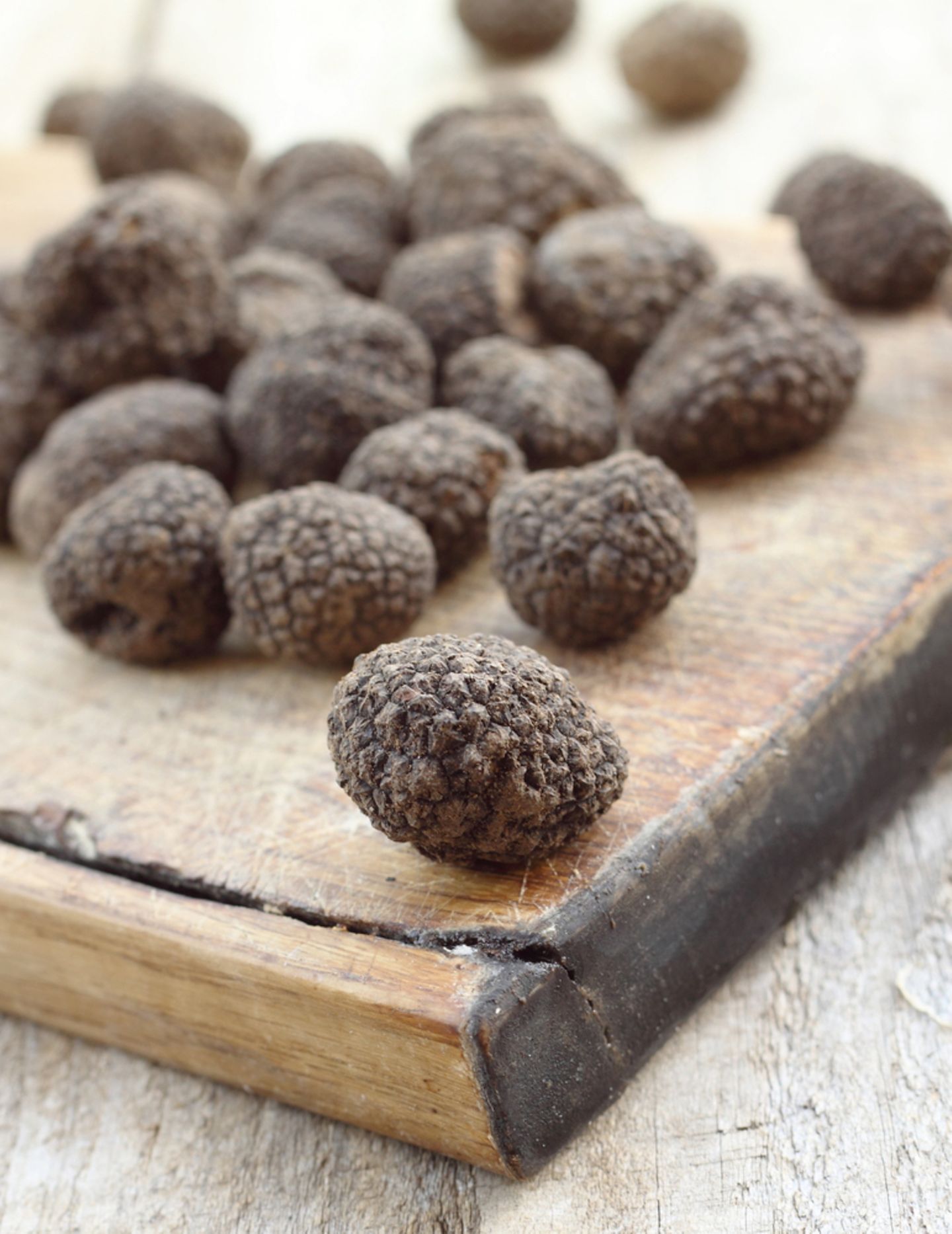 Trüffel - [ESSEN UND TRINKEN]