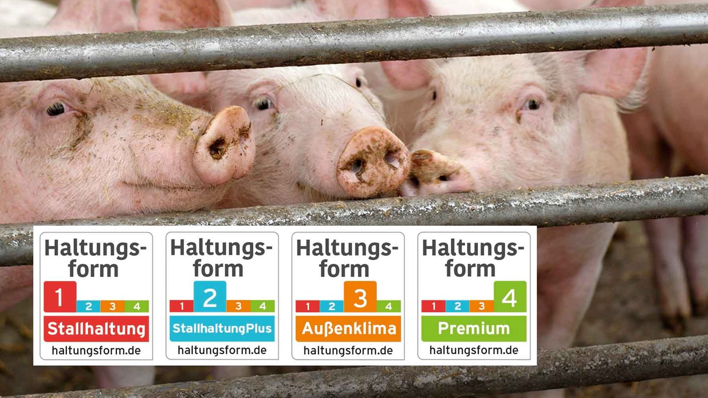 Staatliches Tierwohl-Label - [ESSEN UND TRINKEN]