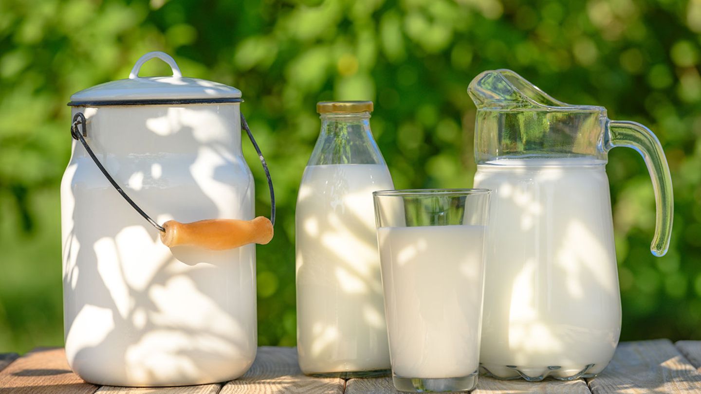 Die Milch macht's - [ESSEN UND TRINKEN]