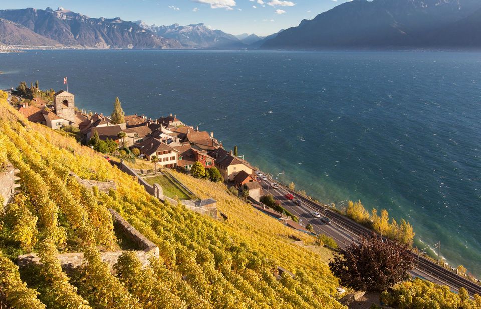 Weinregion am Genfer See: Die schönsten Weinberge und ihre Weine ...