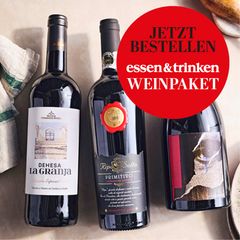 Rezepte: Kochen, Backen und Getränke - [ESSEN UND TRINKEN]